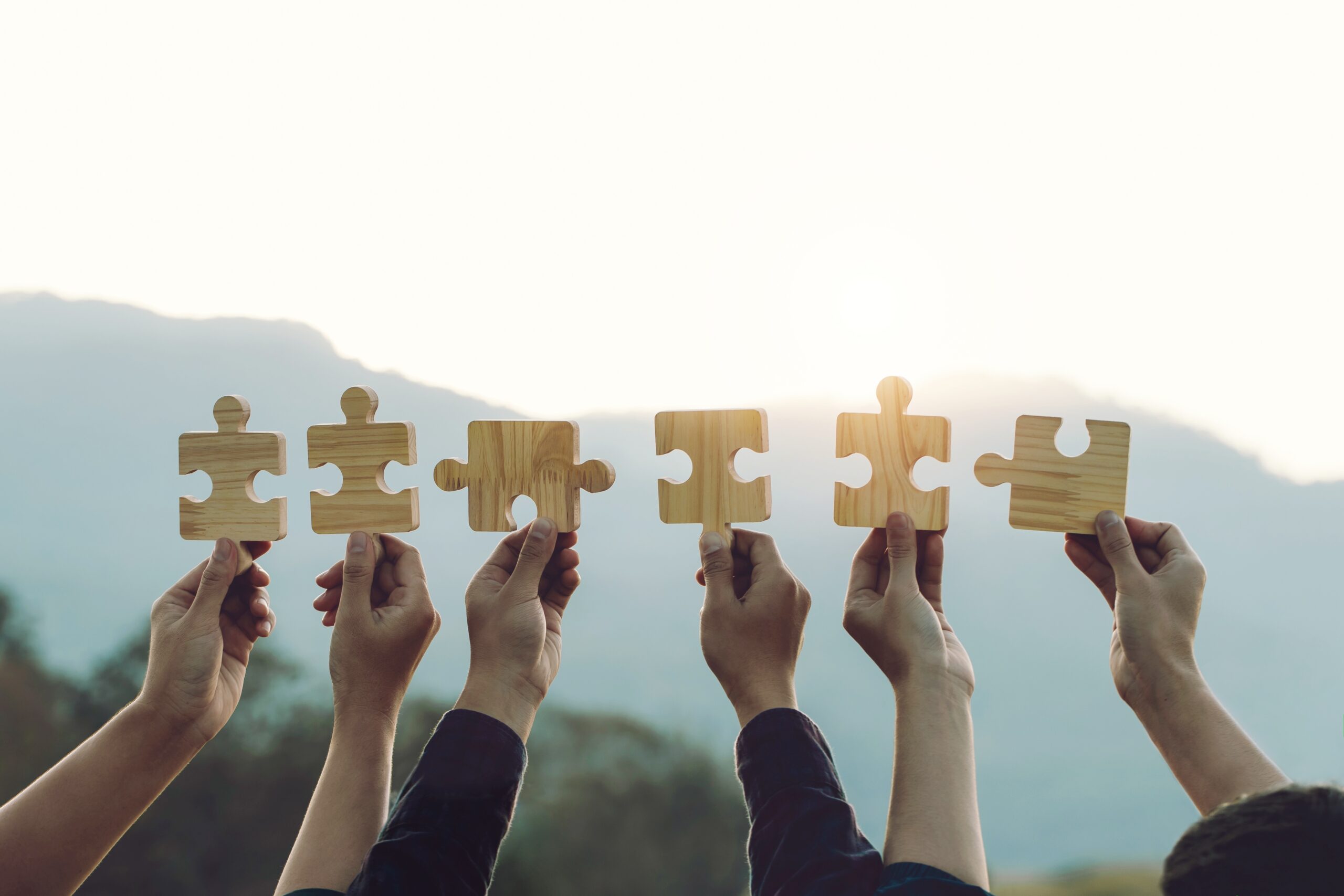 O papel das alianças estratégicas na Transformação Digital das empresas ...